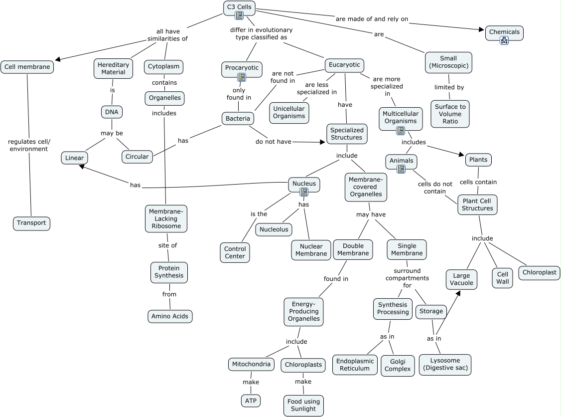 L1 Cell Organelle Map - What are the structures and functions of major cellular organelles?